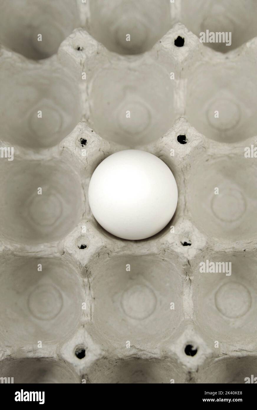 Egg in cardboard container stock photo Stock Photo - Alamy