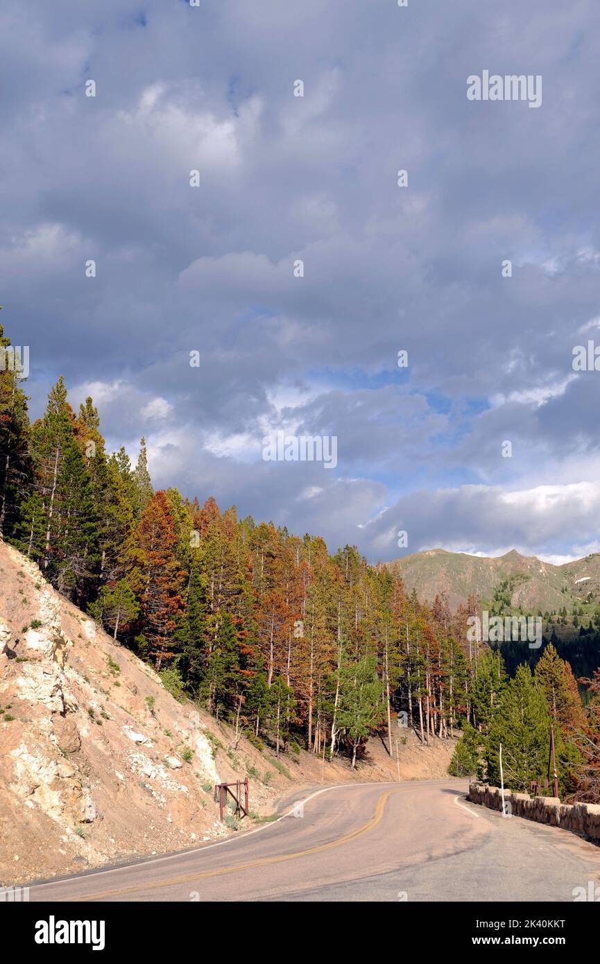 Country road stock photo Stock Photo - Alamy