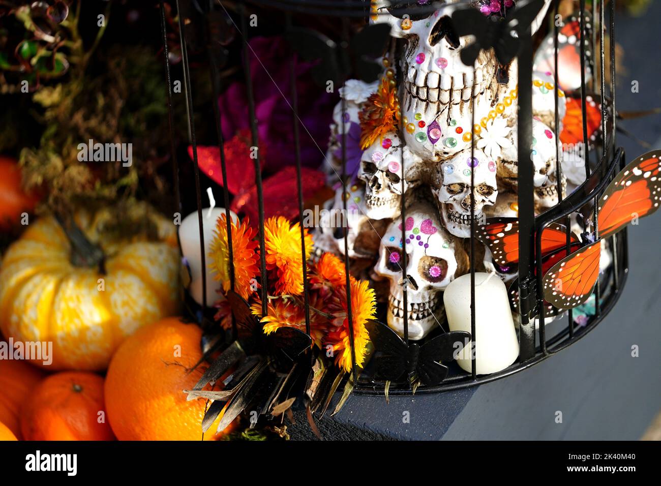 An installation titled Pilares Surrealistas de Mexico (Surreal Pillars ...