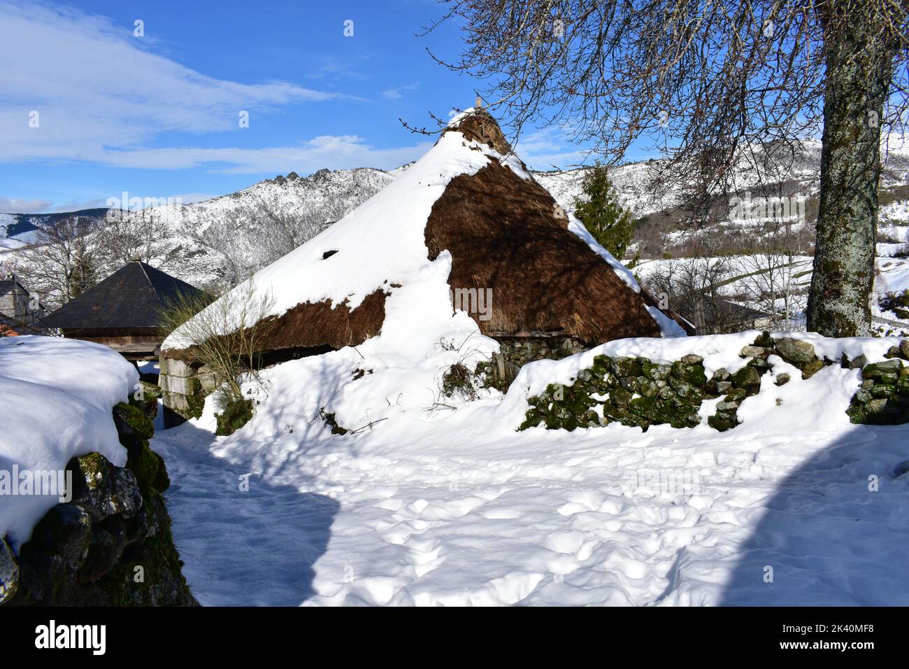 Ancient snowy palloza round house made with stone and straw. Piornedo ...