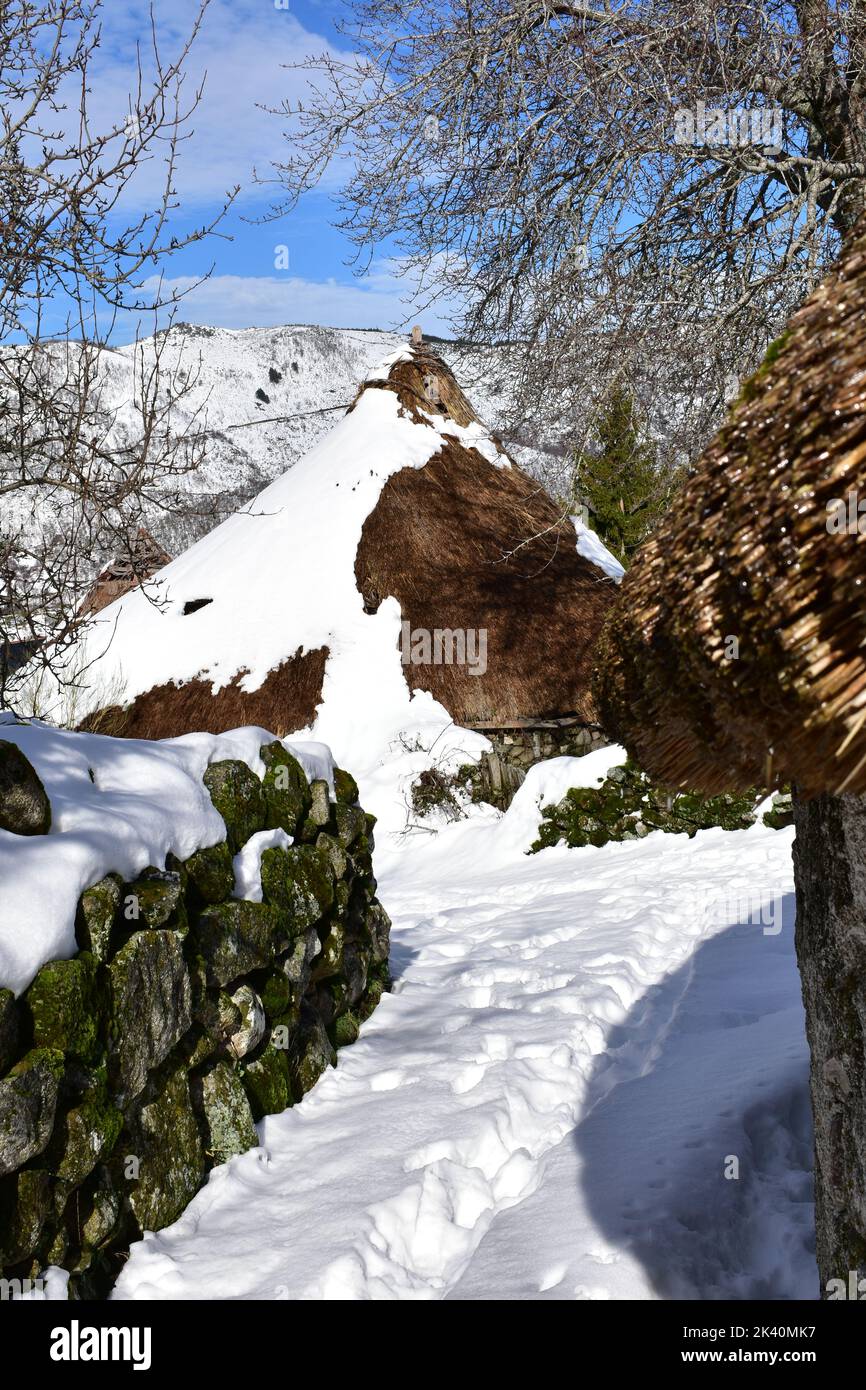 Ancient snowy palloza round house made with stone and straw. Piornedo ...