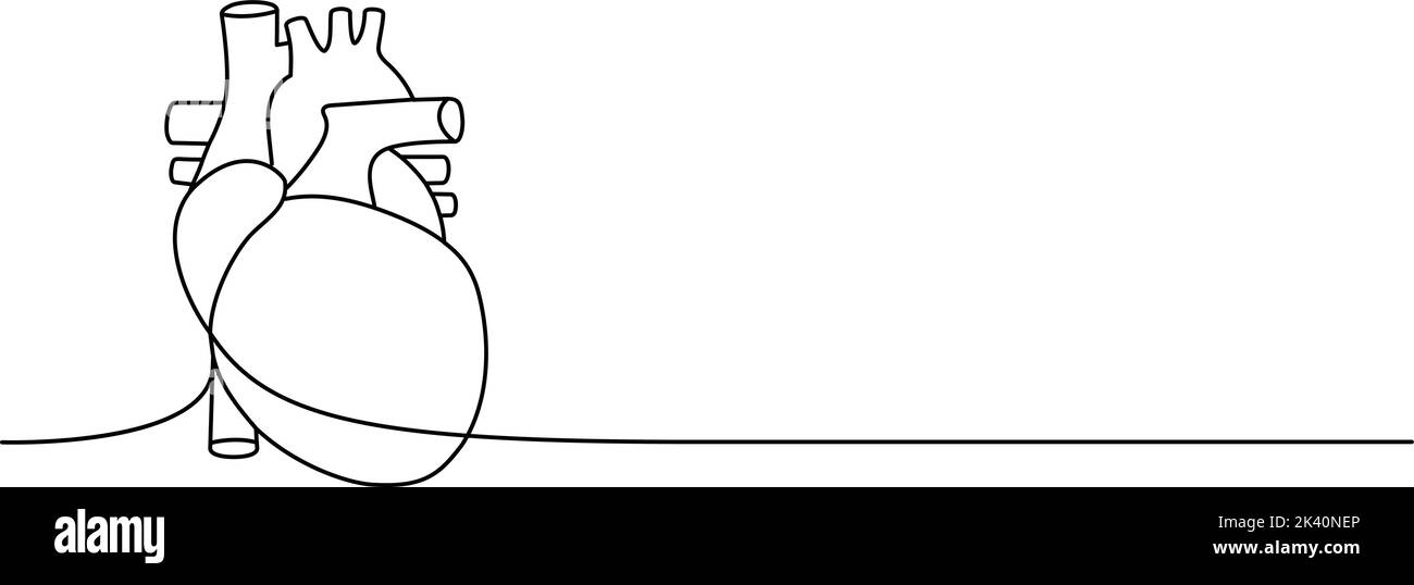Human heart one line continuous drawing. Human organ continuous one ...