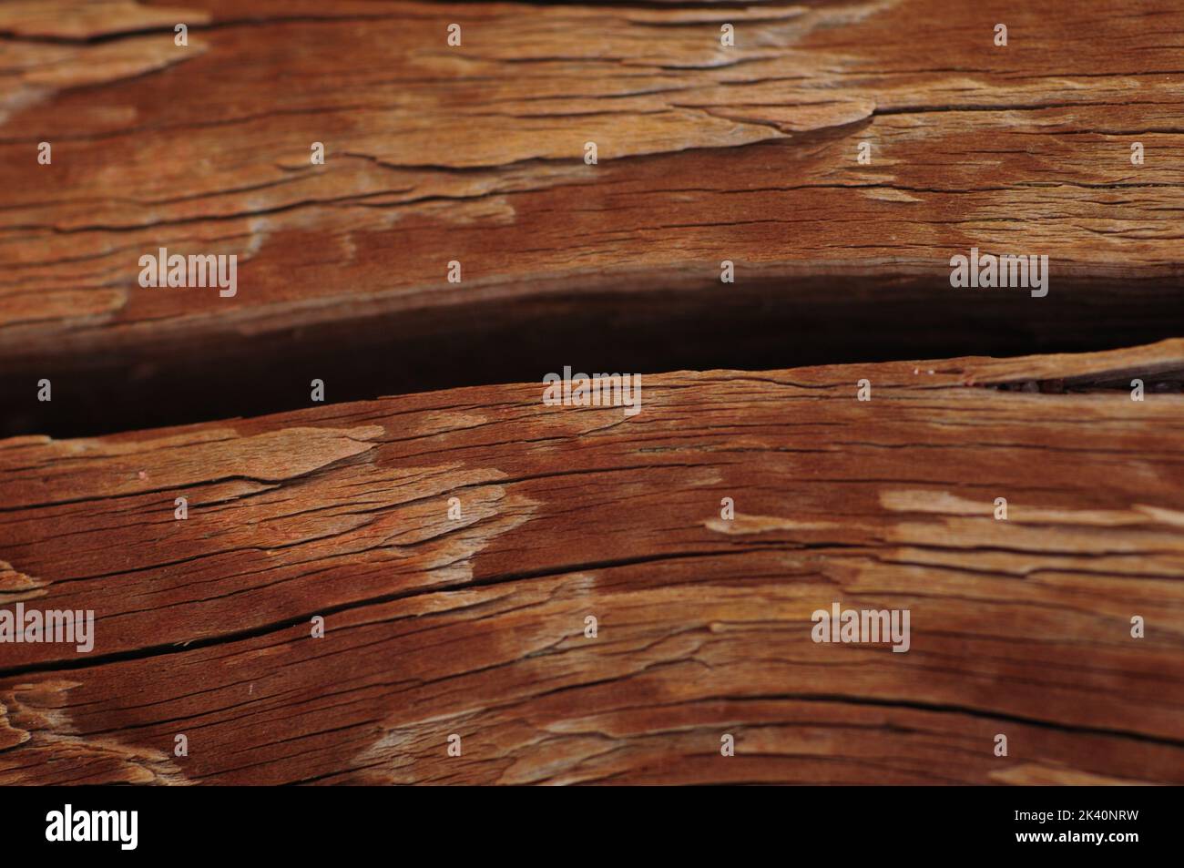 Wooden background stock photo Stock Photo - Alamy