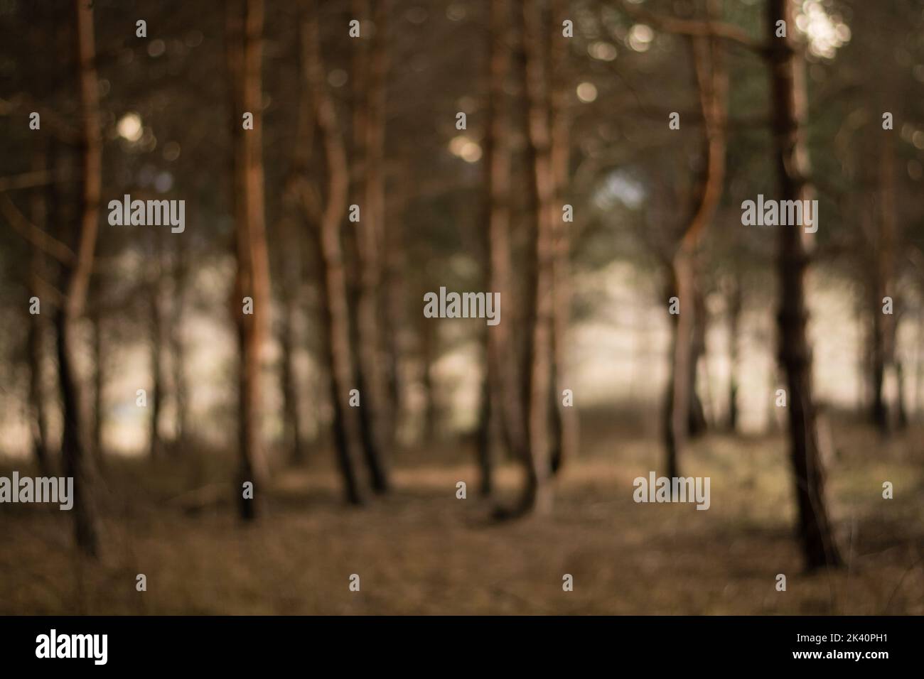 Dark defocused background hi-res stock photography and images - Alamy