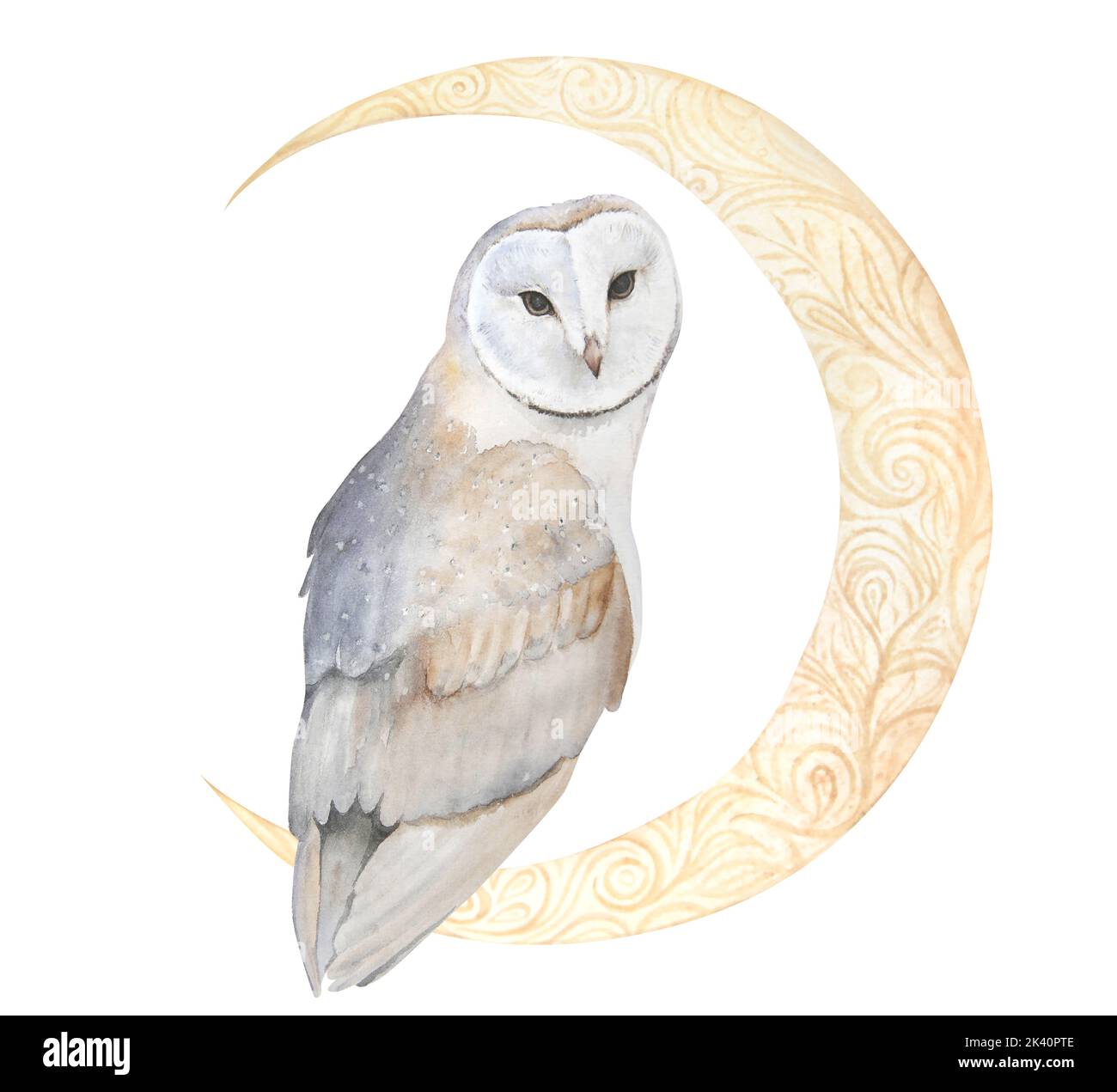 Simple Barn Owl Drawing
