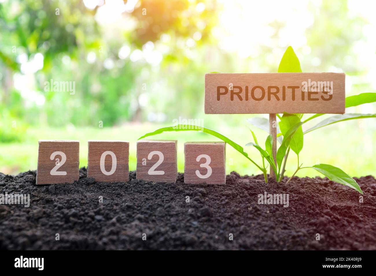 New year 2023 life goal, resolution and new priorities concept. Wooden ...