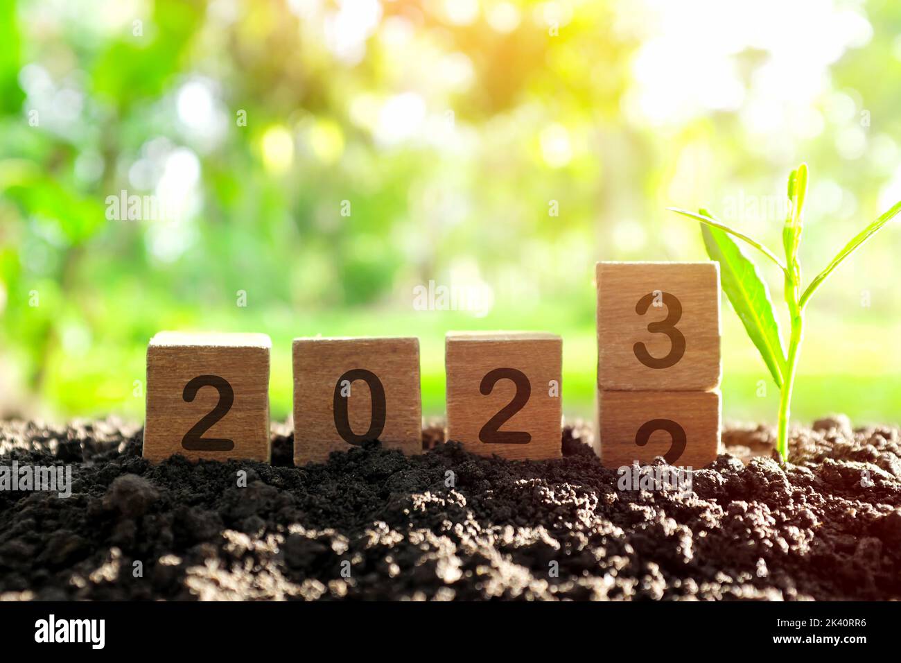 Hand changing year 2022 to 2023 in wooden blocks cubes with growing ...