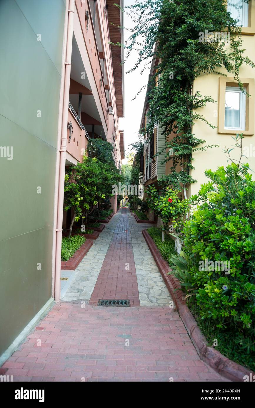 Narrow line between apartment buildings with greenery Stock Photo - Alamy
