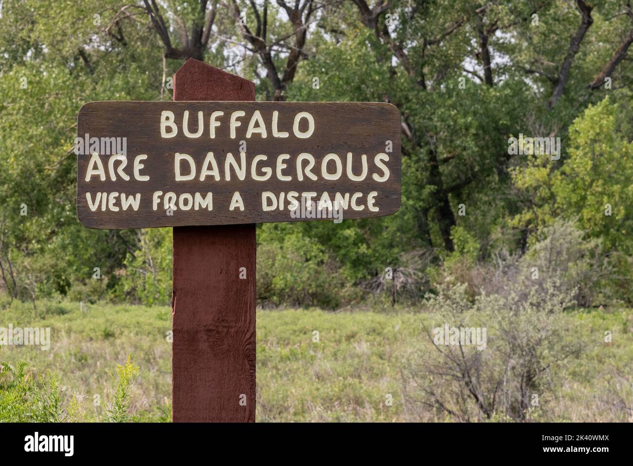 Buffalo Are Dangerous Sign reminds visitors to view from a distance ...