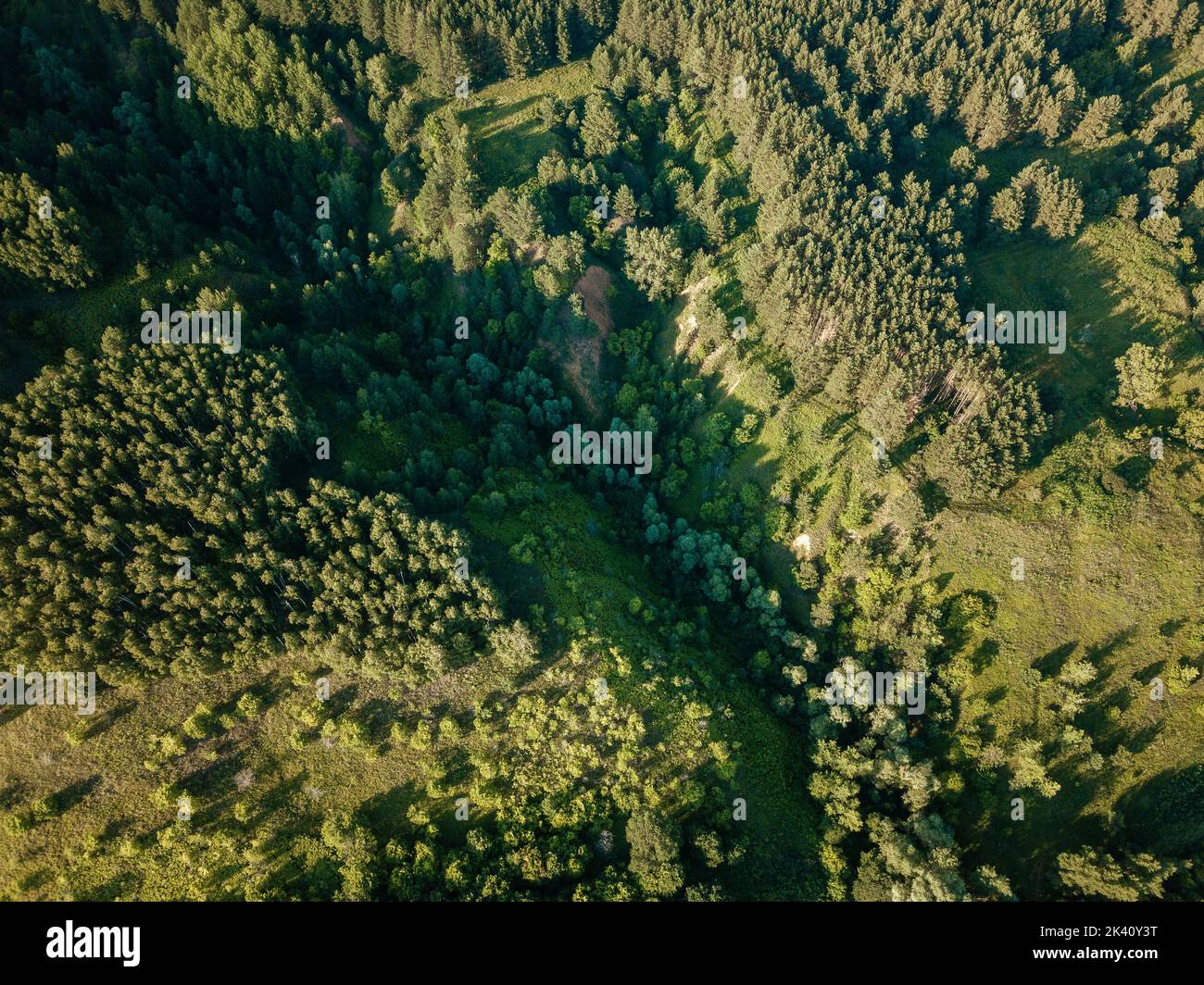 Drone view of the forest river. Top view Stock Photo - Alamy