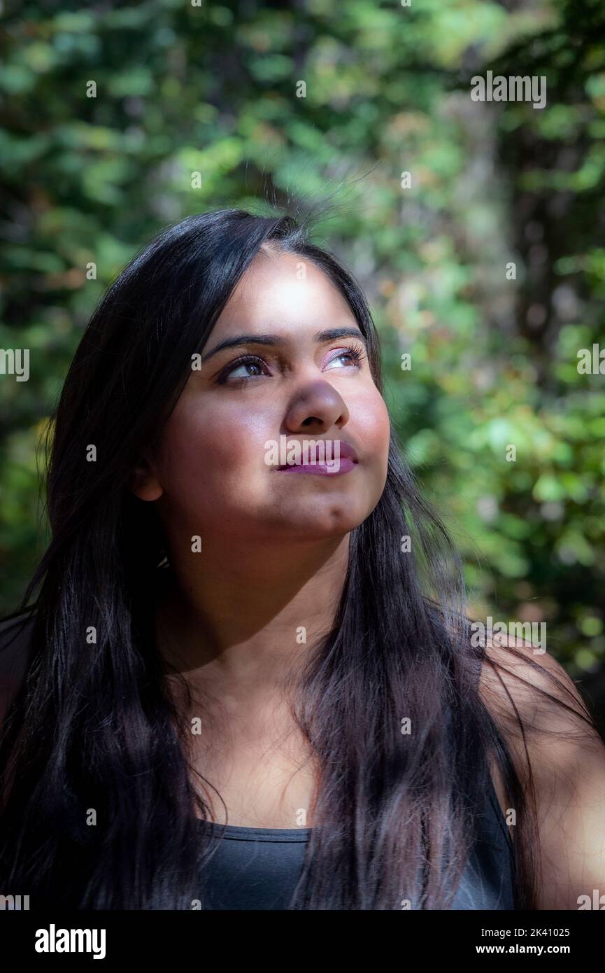 Dimple trees hi-res stock photography and images - Alamy