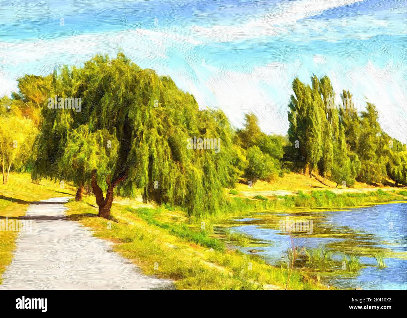 Painting weeping willow tree also known as Babylon willow or salix ...