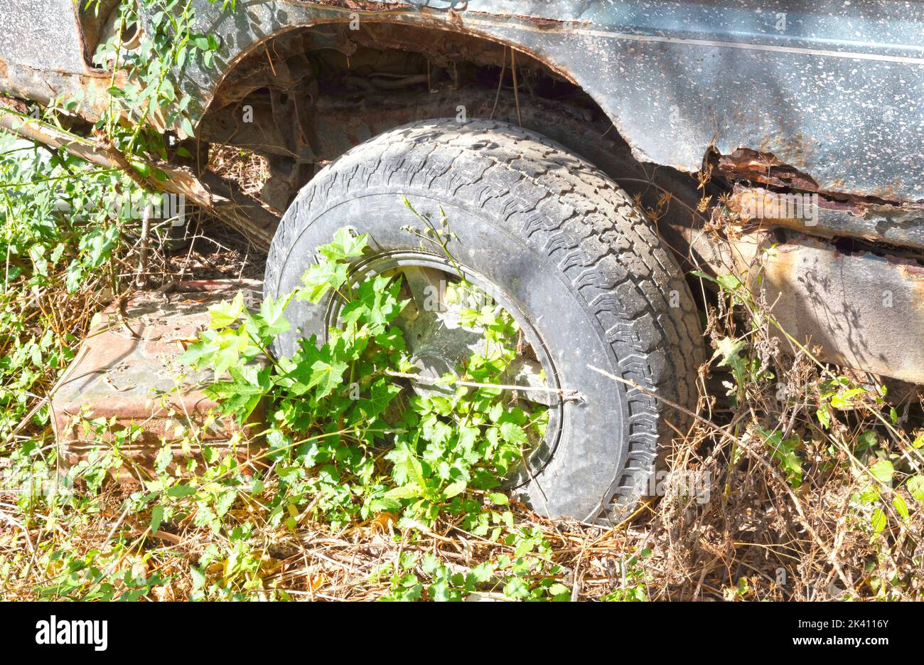 Car wreck and large tree - Insurrance or safety concept Stock Photo - Alamy
