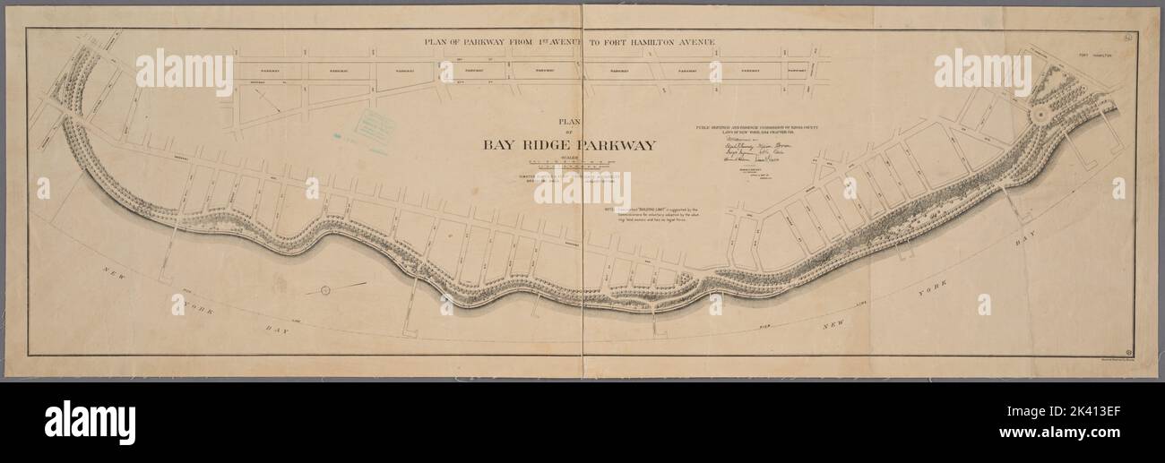 Plan of Bay Ridge parkway. Cartographic. Maps. 1895. Lionel Pincus and ...