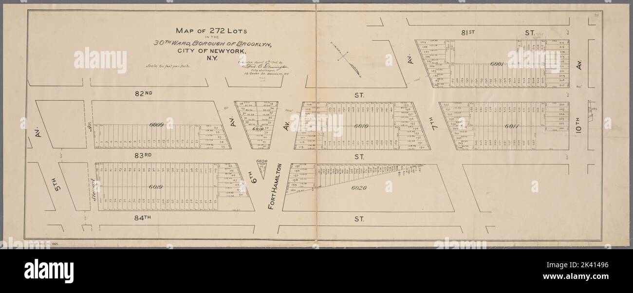 Map of 272 lots in the 30th ward, borough of Brooklyn, City of New York ...