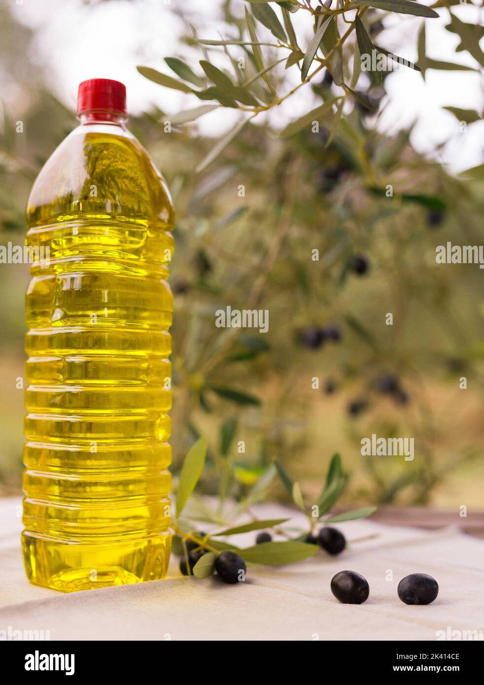 still life of olives and oil on a table against background of olive ...