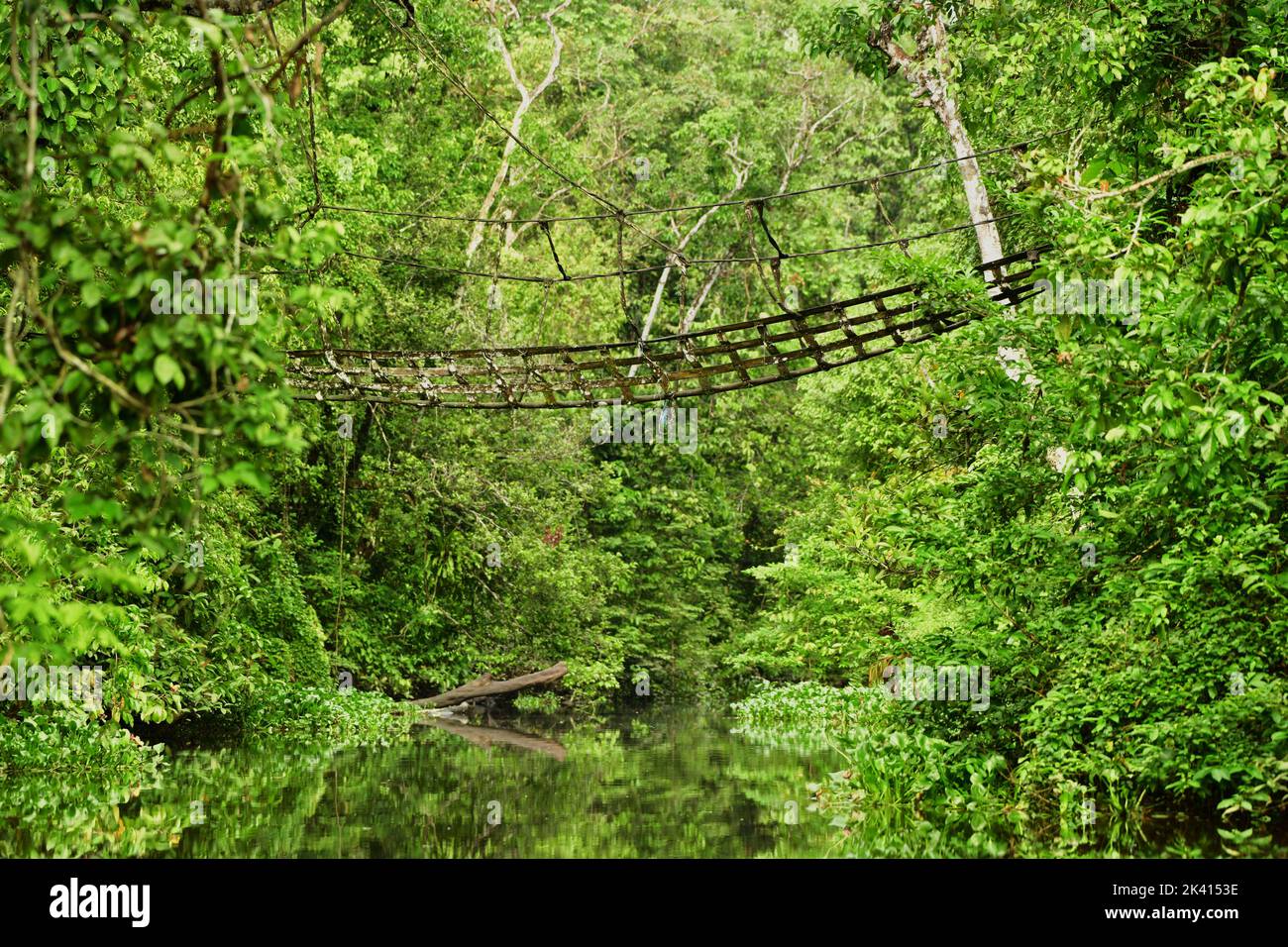 Monkey bridge hi-res stock photography and images - Alamy