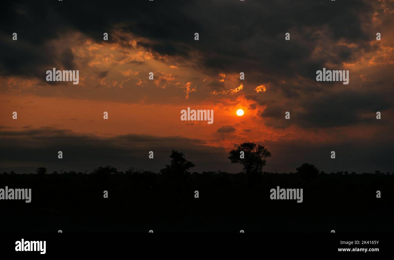 Sunset on the African savanna Stock Photo - Alamy