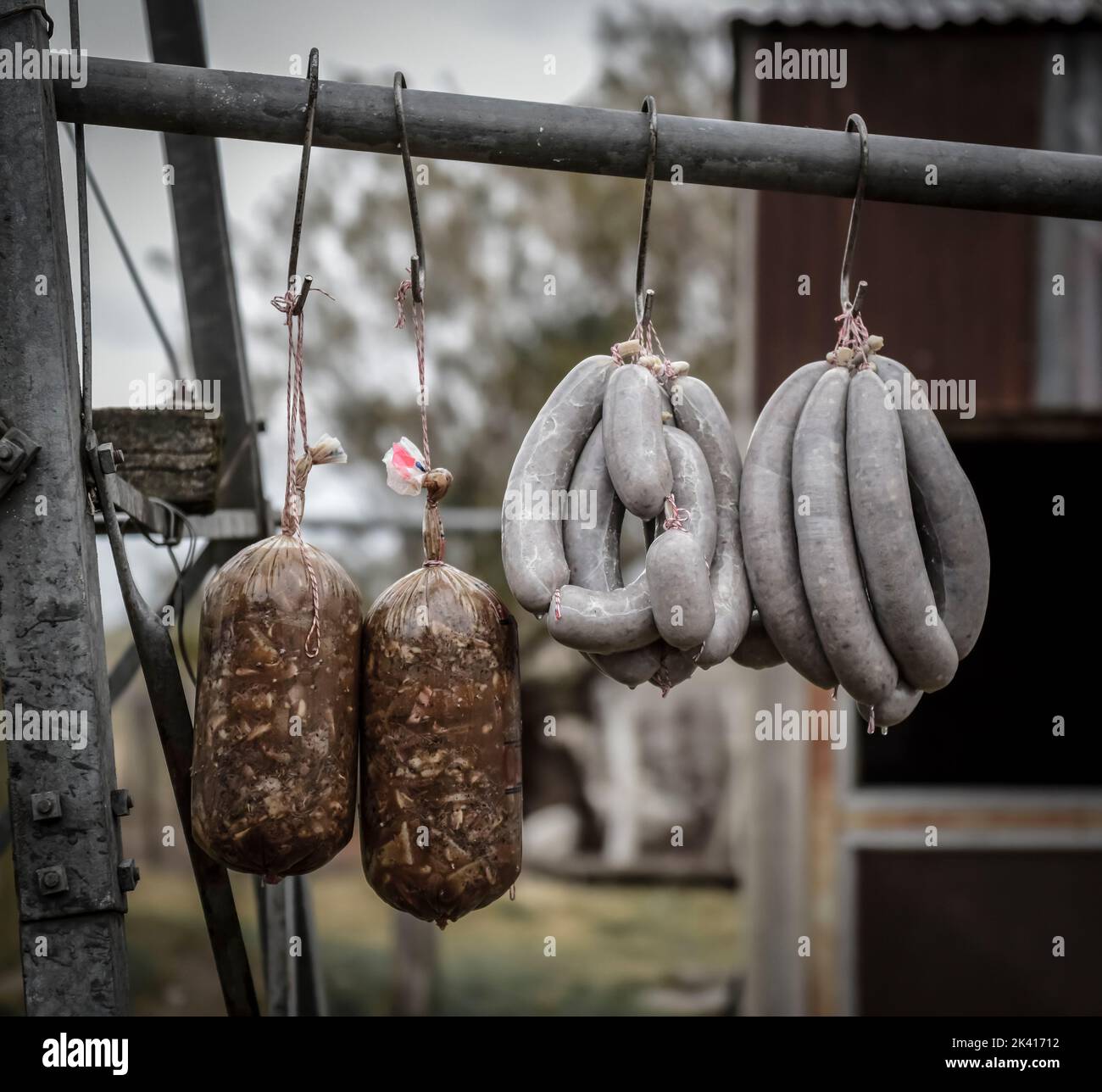 Homemade sausages, traditional PIG BUTCHER , La Pampa Province ...