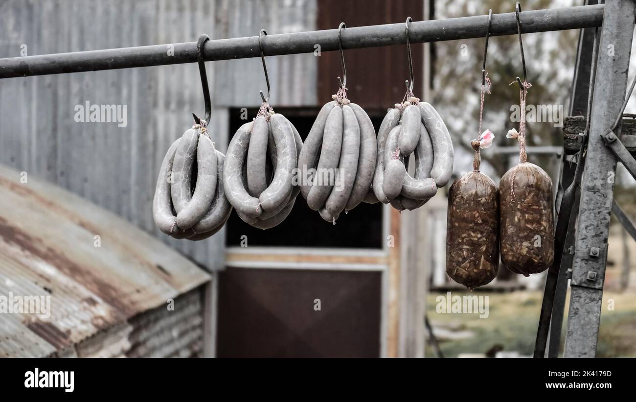 Homemade sausages, traditional PIG BUTCHER , La Pampa Province ...