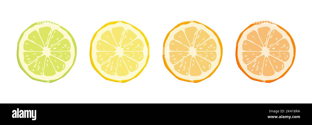 Vector Citrus Fruit Icon Set - Yellow Lemon, Green Lime, Orange Mandarin, Grapefruit. Round ...