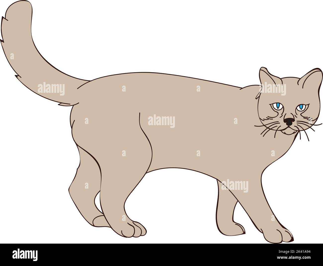 Vector cat front brown cute Stock Vector Image & Art - Alamy