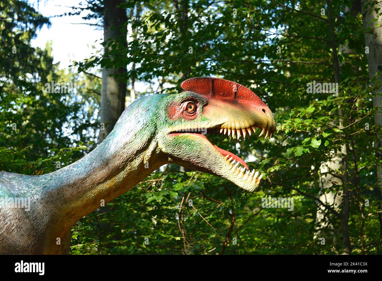 Model of a dinosaur in Dino Parc in Rasnov, Romania Stock Photo - Alamy
