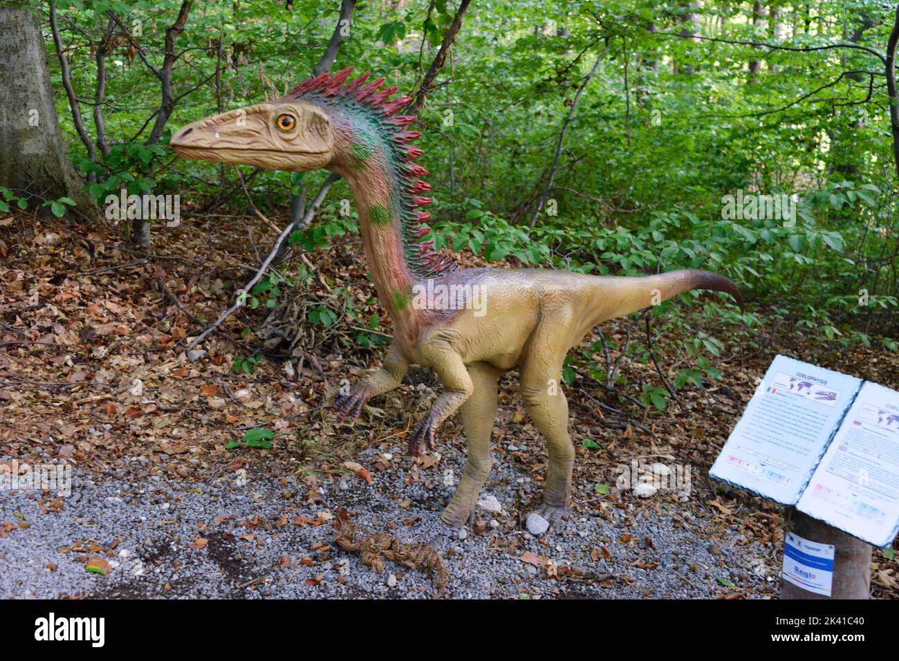 Model of a dinosaur in Dino Parc in Rasnov, Romania Stock Photo - Alamy