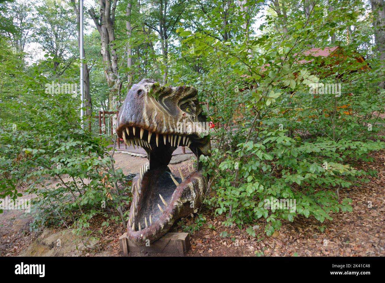 Tyrannosaurus - prehistoric era dinosaur showing his toothy mouth Stock ...