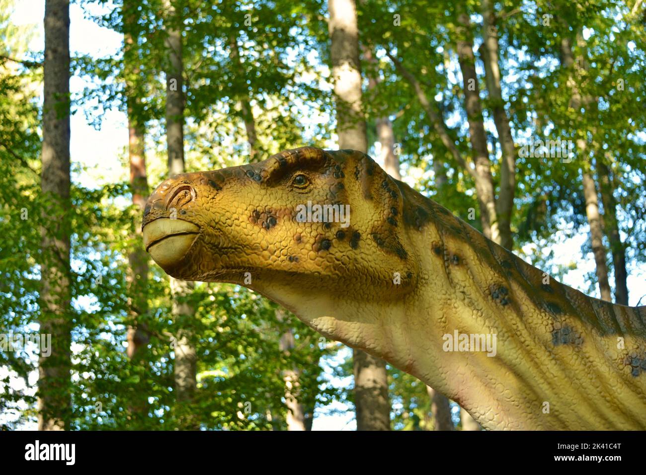 Model of a dinosaur in Dino Parc in Rasnov, Romania Stock Photo - Alamy