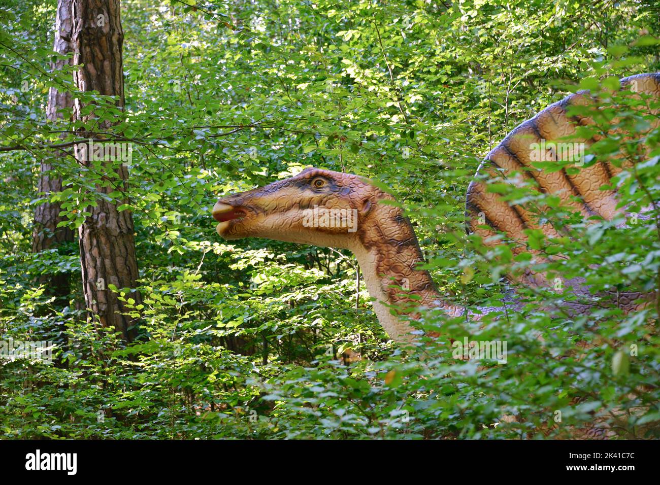 Model of a dinosaur in Dino Parc in Rasnov, Romania Stock Photo - Alamy