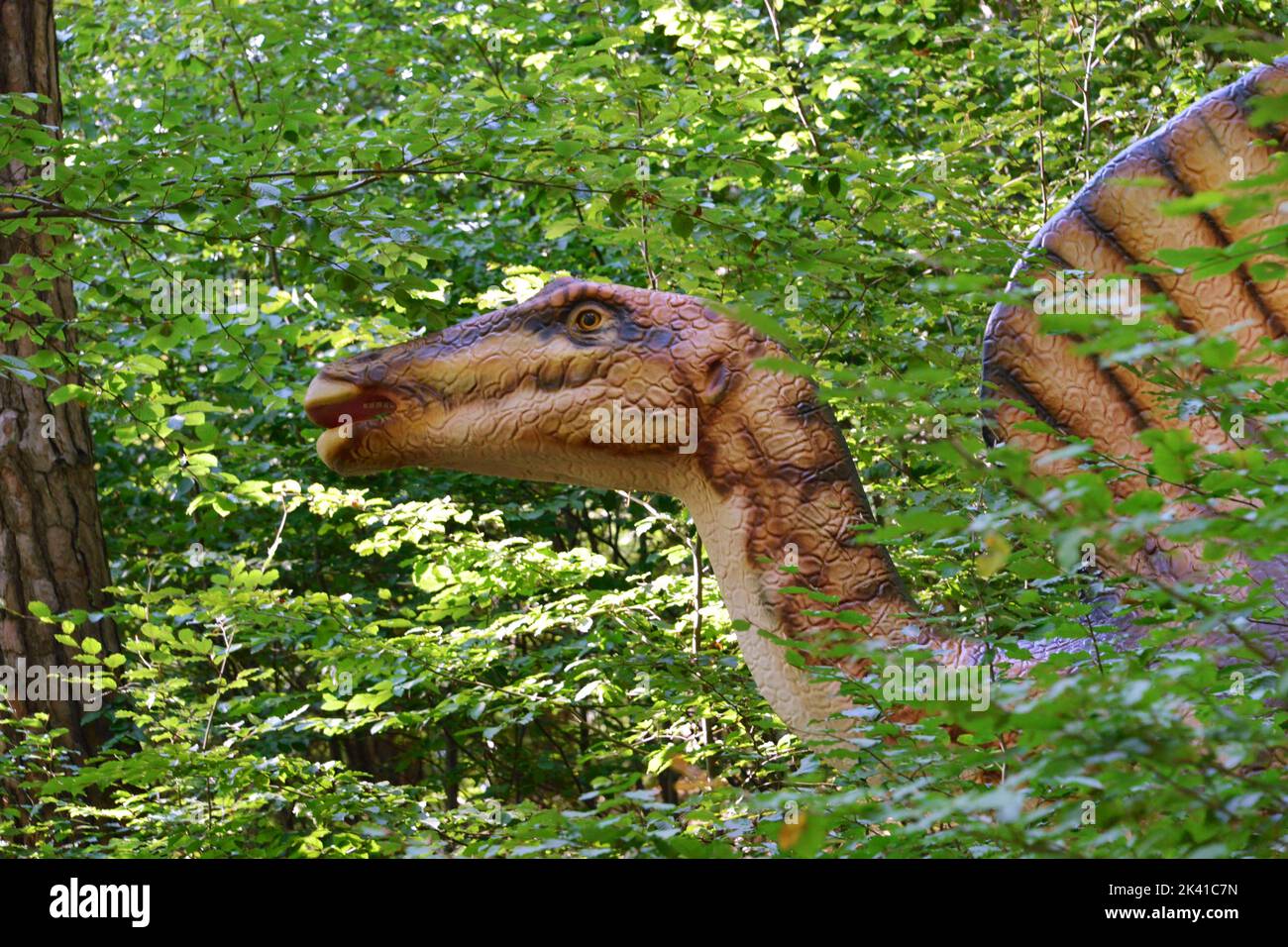Model of a dinosaur in Dino Parc in Rasnov, Romania Stock Photo - Alamy