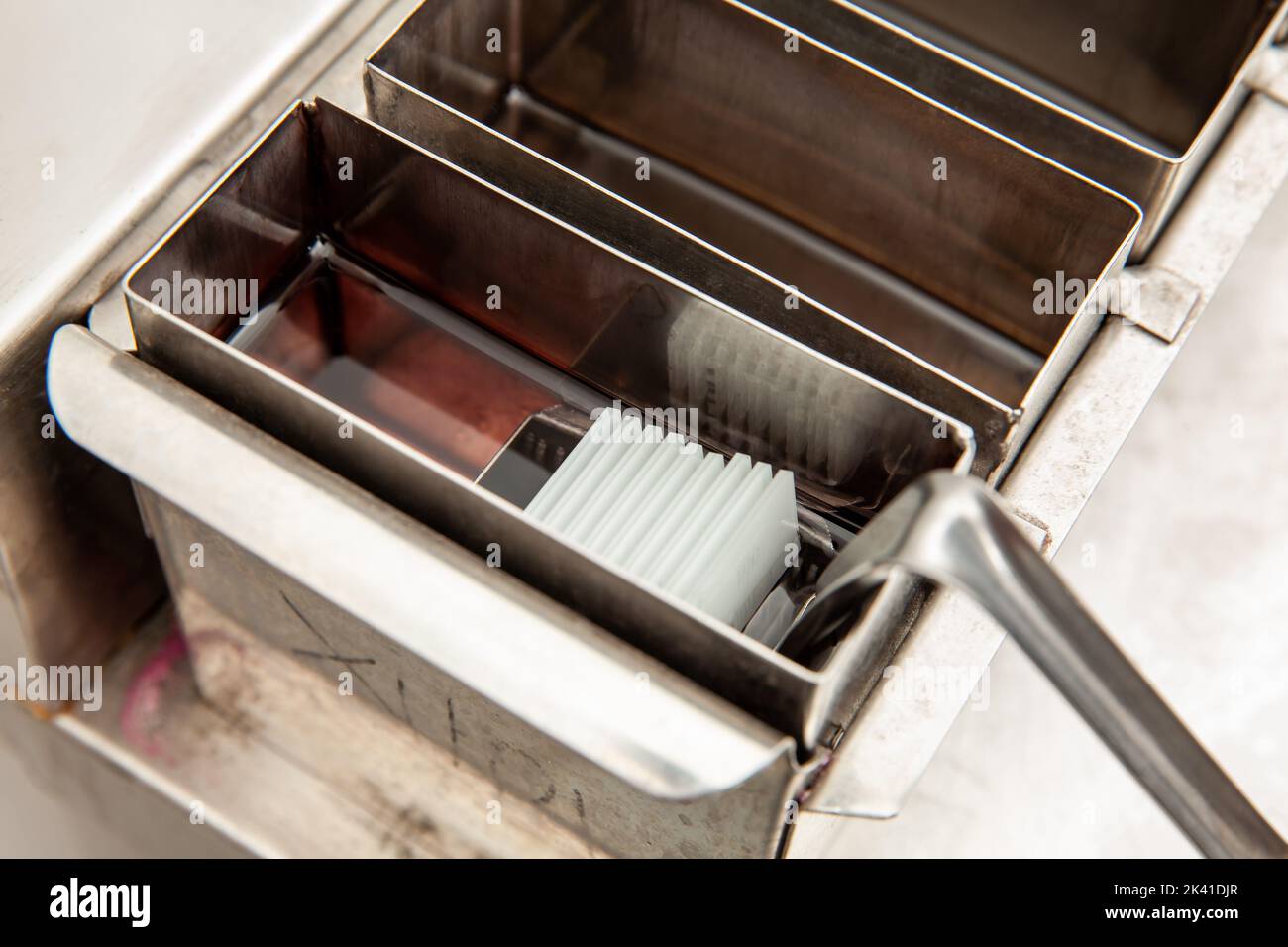 Scientist dewaxing paraffin embedded tissue samples in the laboratory ...