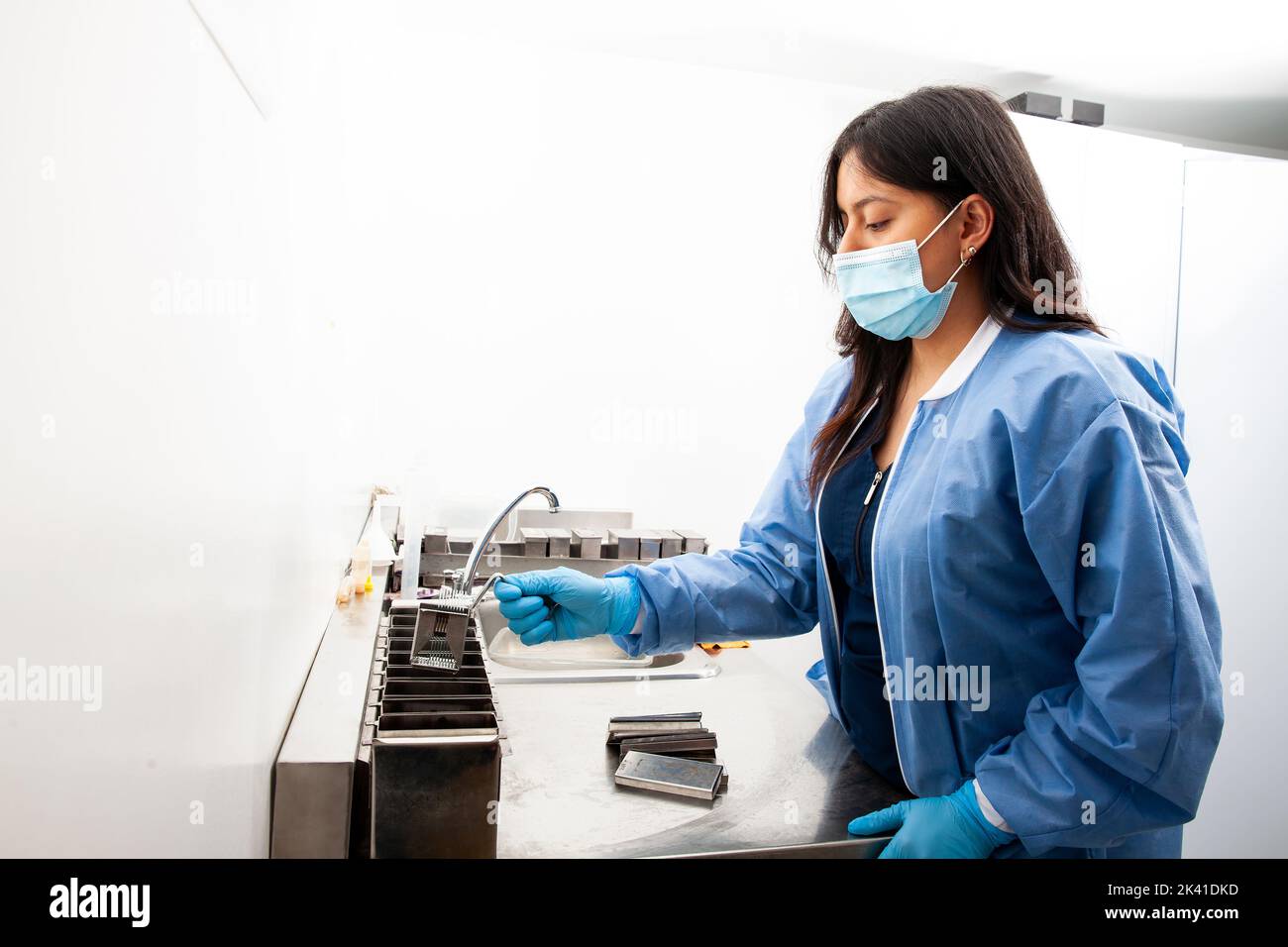 Young female scientist dewaxing paraffin embedded tissue samples in the ...