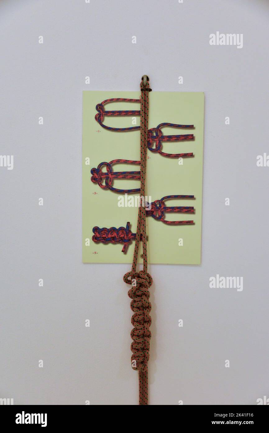 Sailor knot set Stock Photo - Alamy