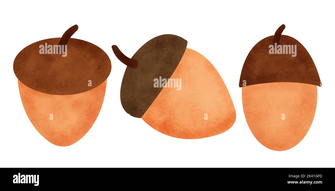 Acorn branch autumn Cut Out Stock Images & Pictures - Alamy