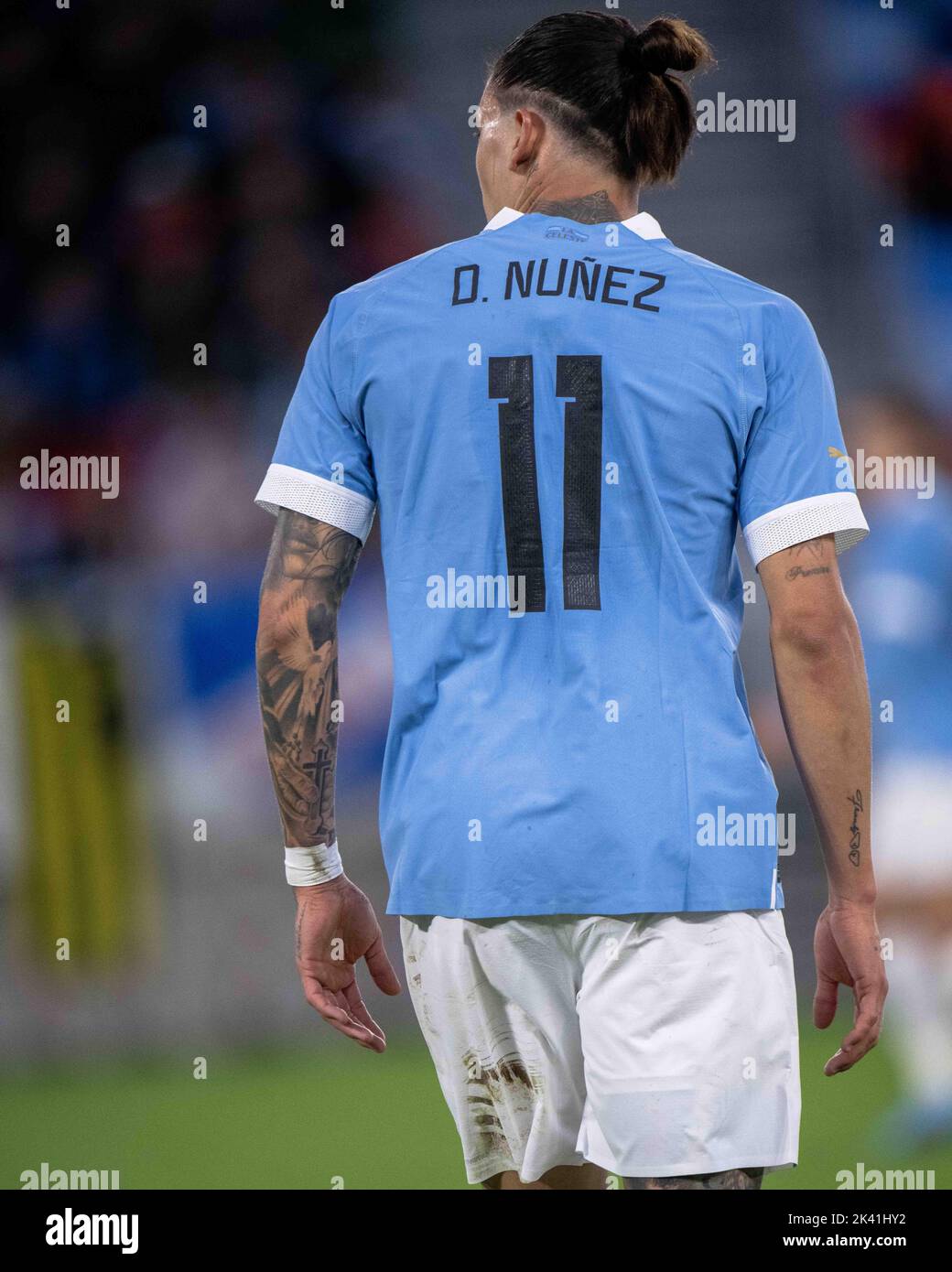 Darwin nunez uruguay national team hi-res stock photography and images ...