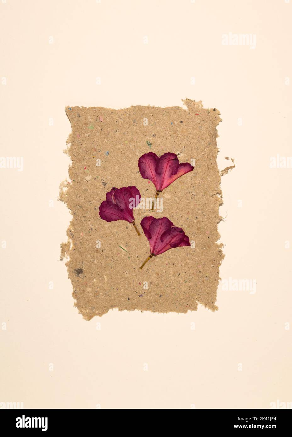 Handmade paper with rough texture and embedded pressed dried flowers ...