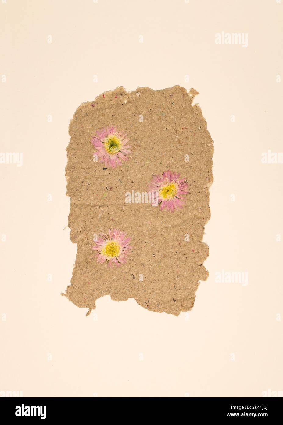 Handmade paper with rough texture and embedded pressed dried flowers ...
