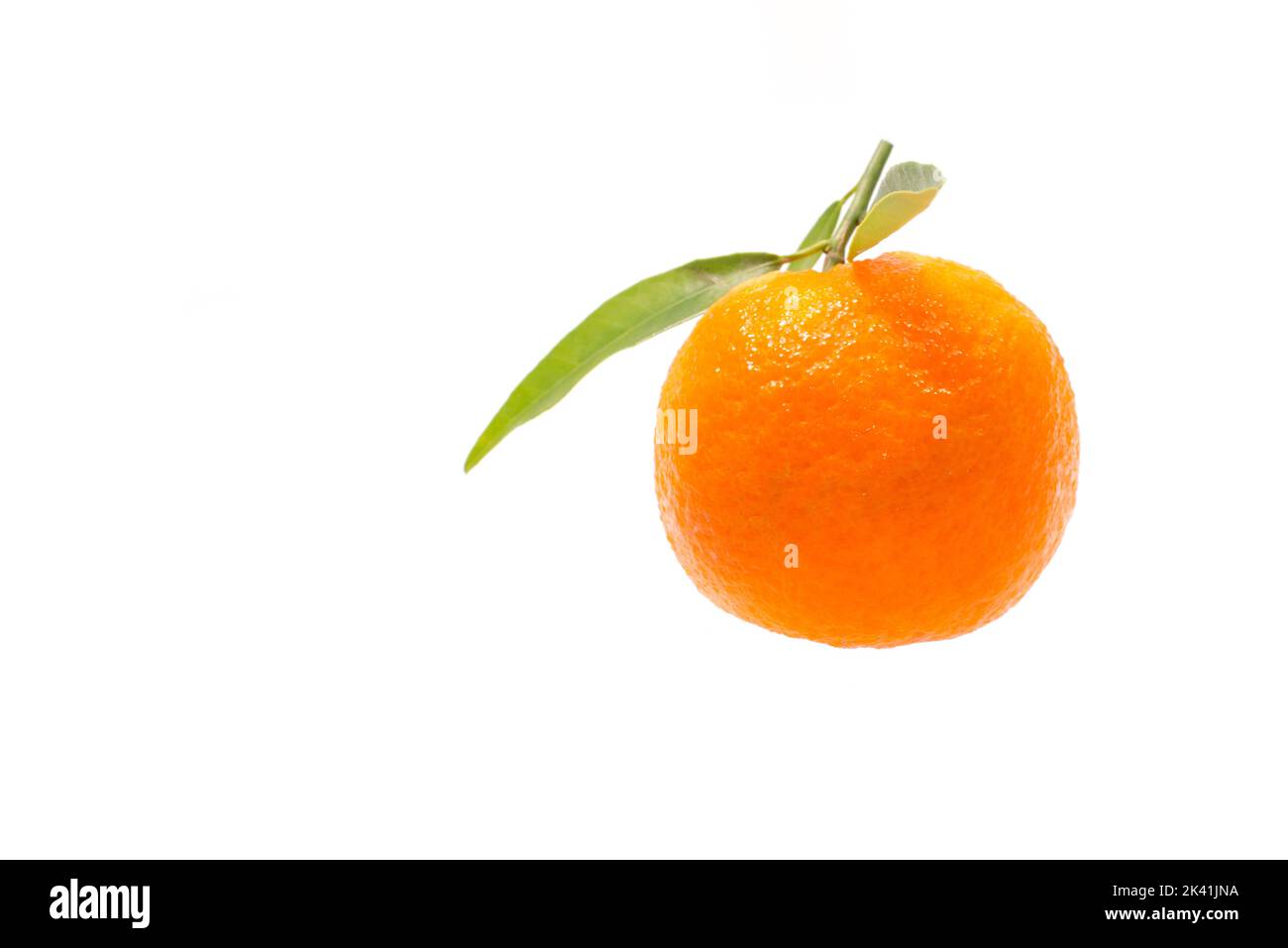 Single fresh clementine isolated on white background Stock Photo - Alamy