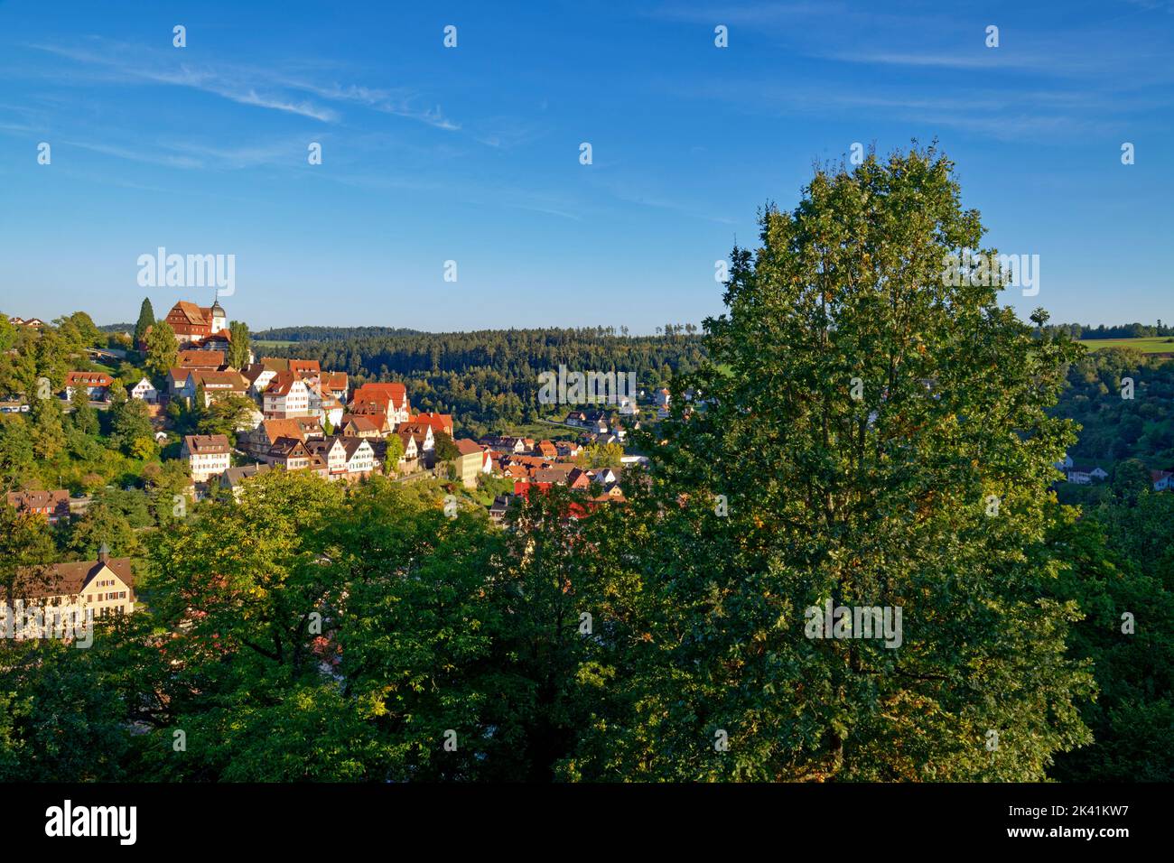 Altensteig in Northern Black Forest: View with historic town, castle ...