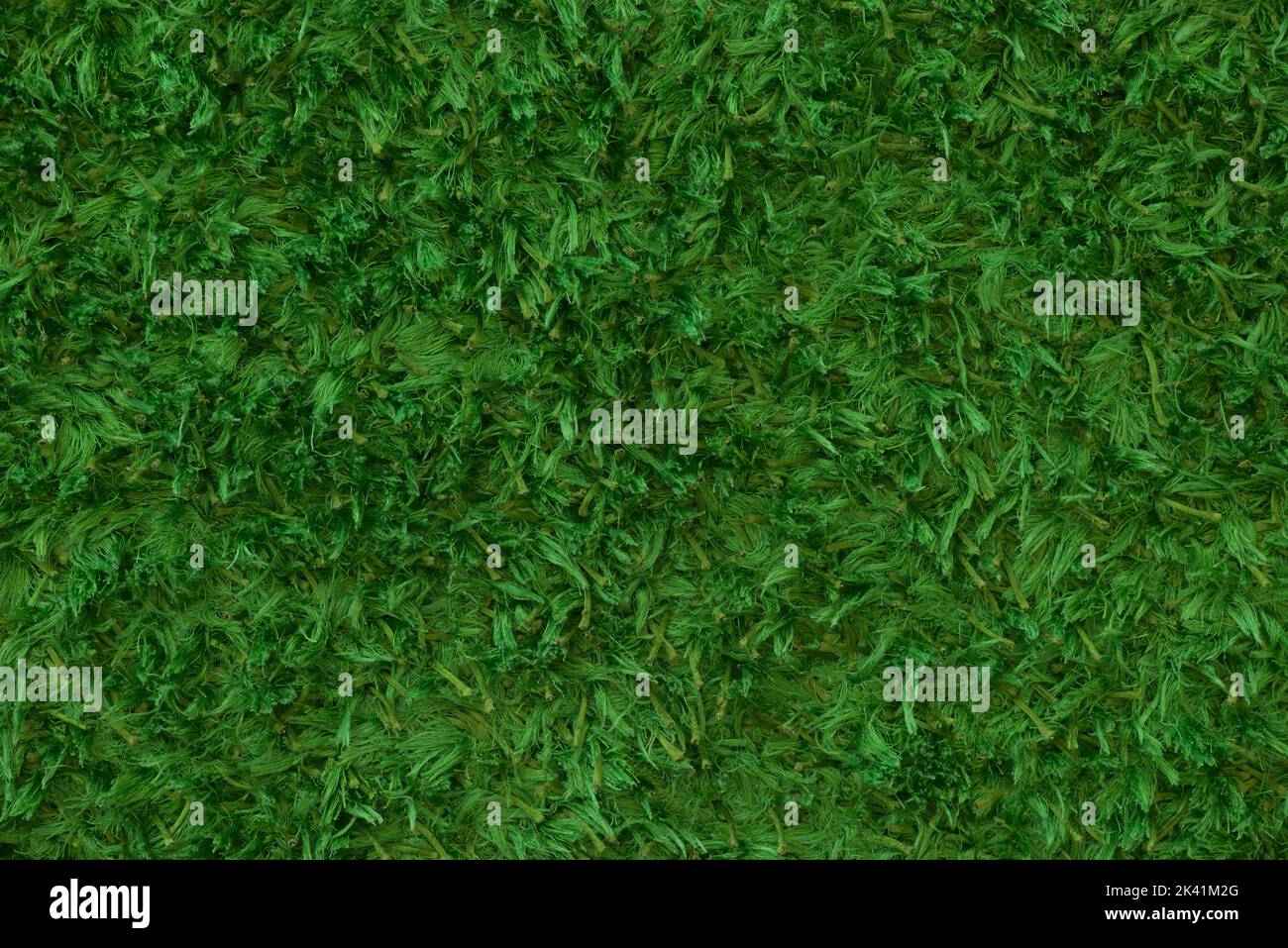 Green carpet fringed texture background Stock Photo - Alamy
