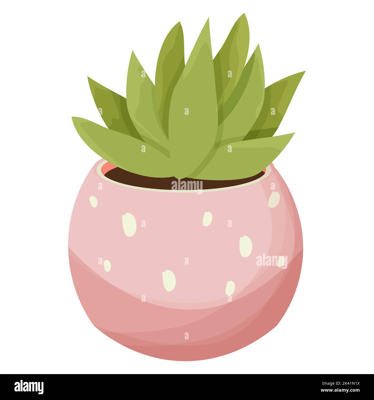 Succulent, home plant in pink pot with dots in cartoon style isolated ...