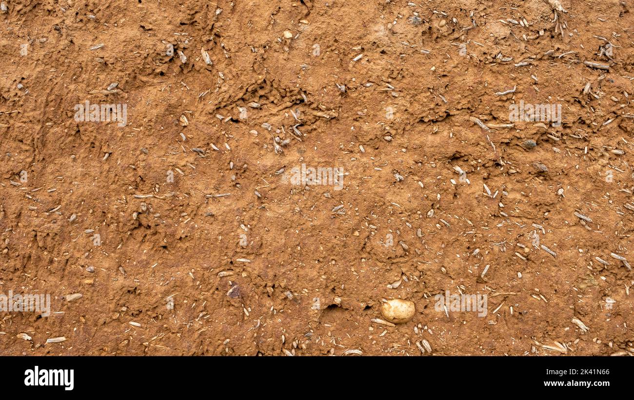 Close-up background of the wall of an old house made of clay mixed with ...