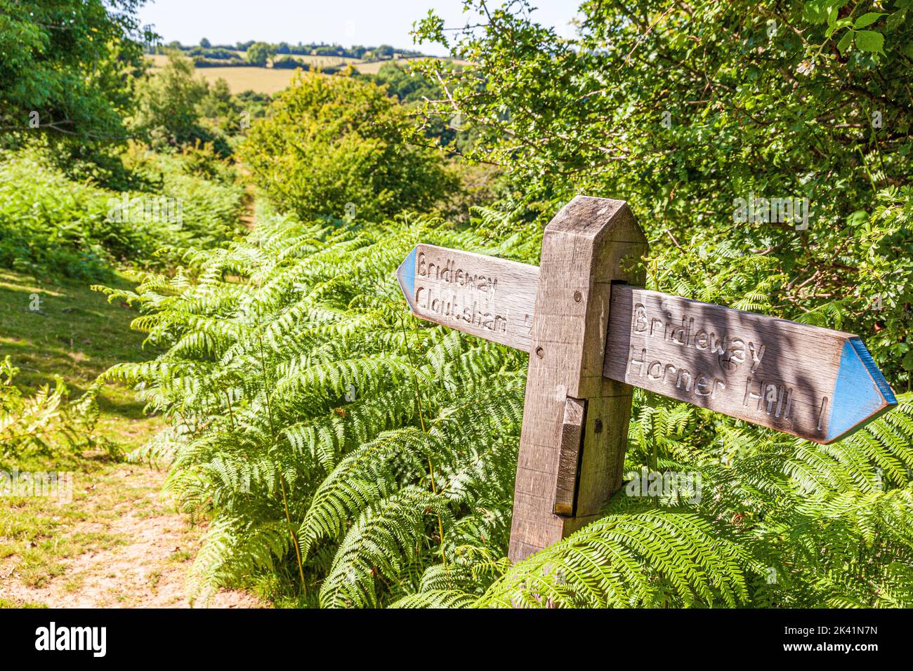 An inviting bridleway sign at Cloutsham in Exmoor National Park ...