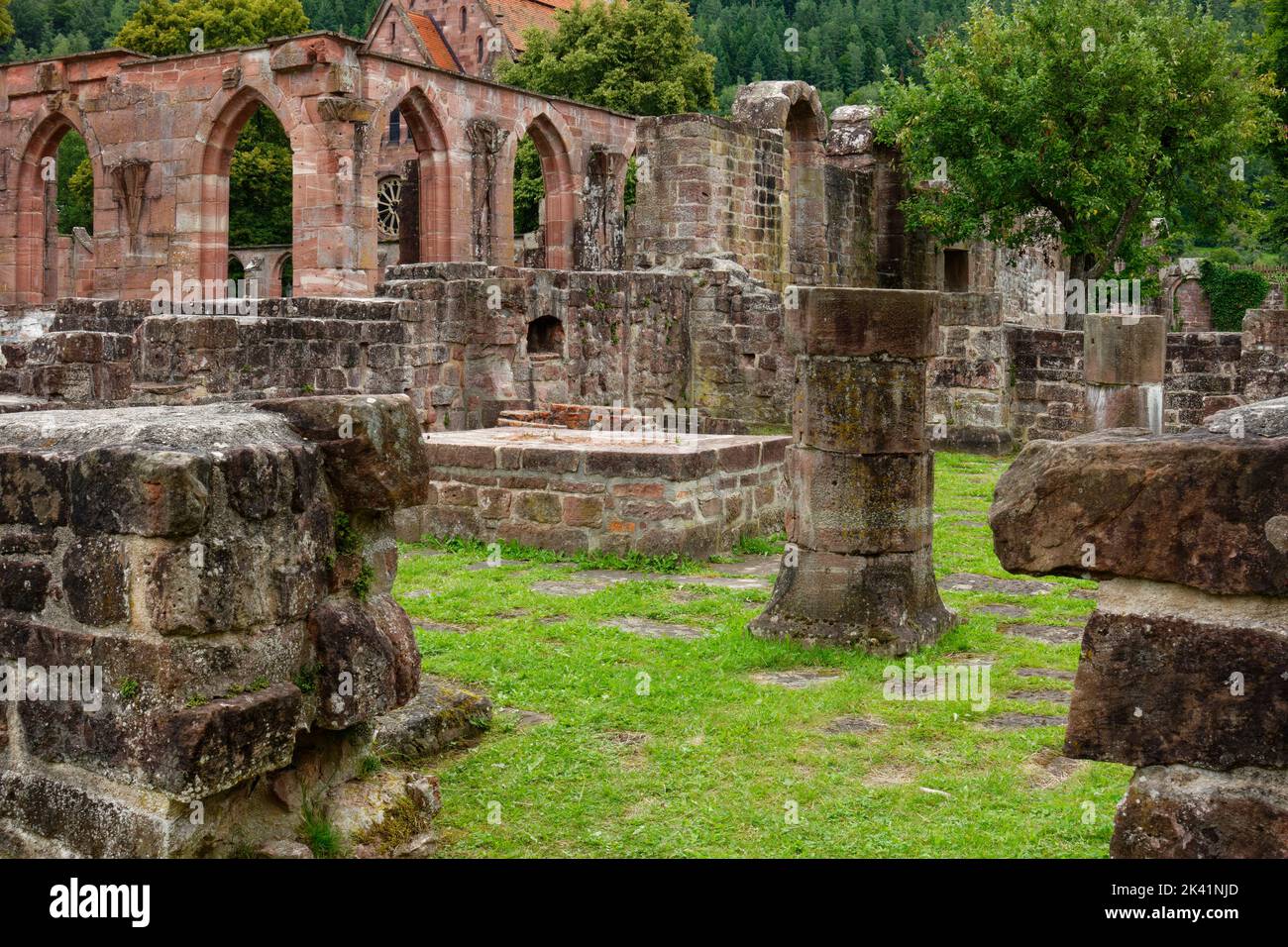 Hirsau abbey (former benedictine abbey): wall remains of ruined abbey ...