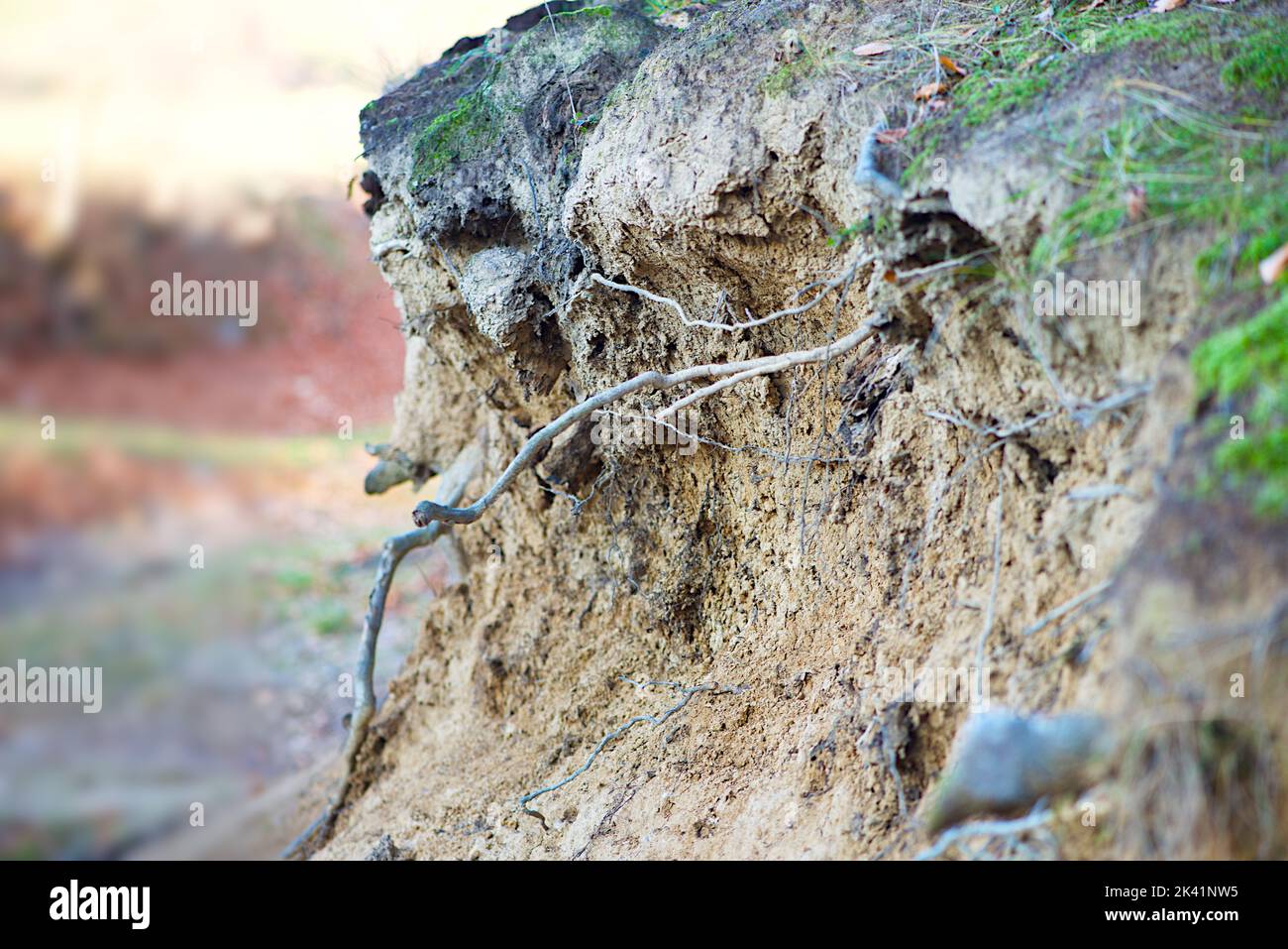 Close up soil slides, landslides collapsed Stock Photo - Alamy