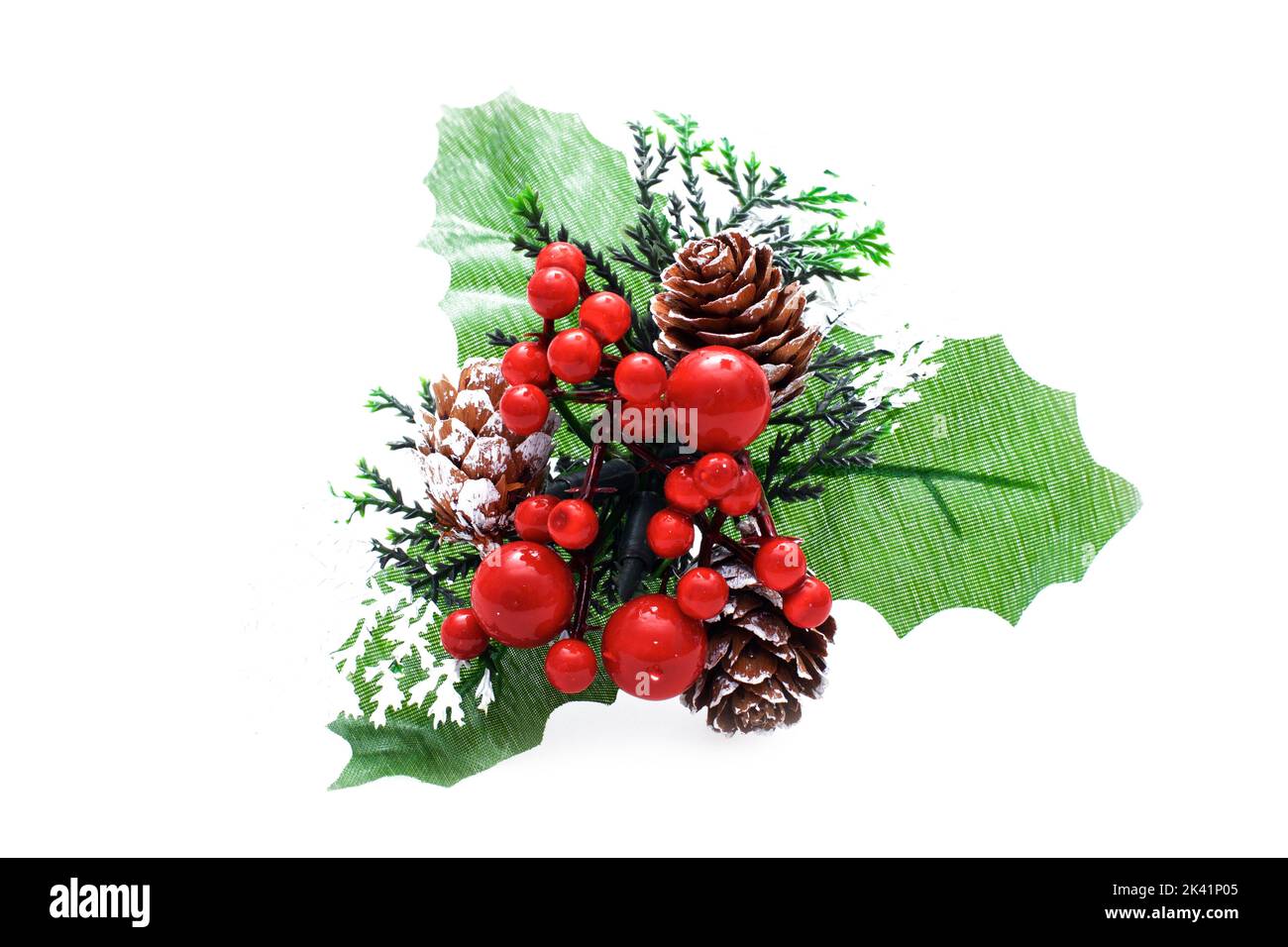 European Holly (Ilex aquifolium) leaves and fruit Stock Photo - Alamy