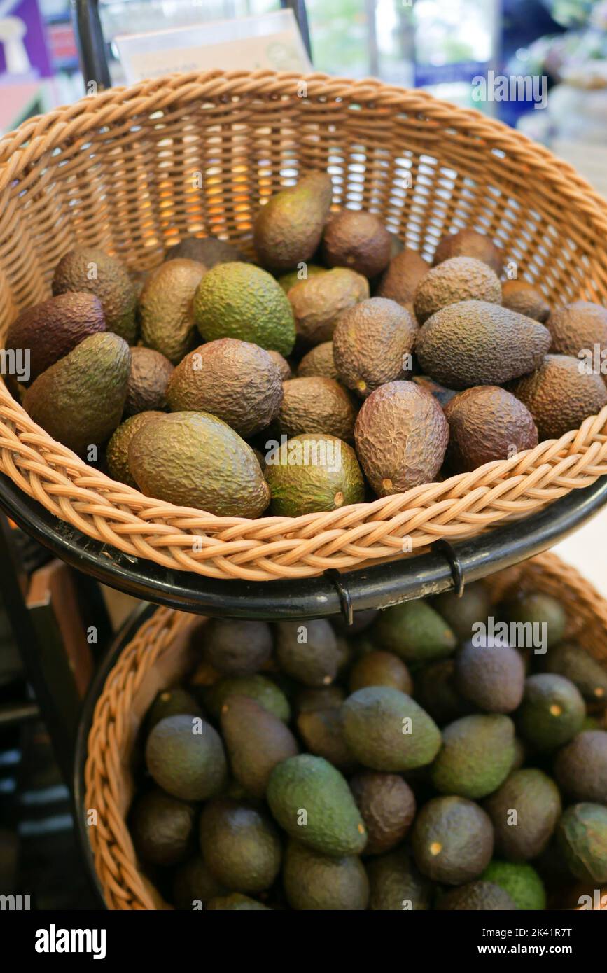 many avocado display for sale at local store Stock Photo - Alamy
