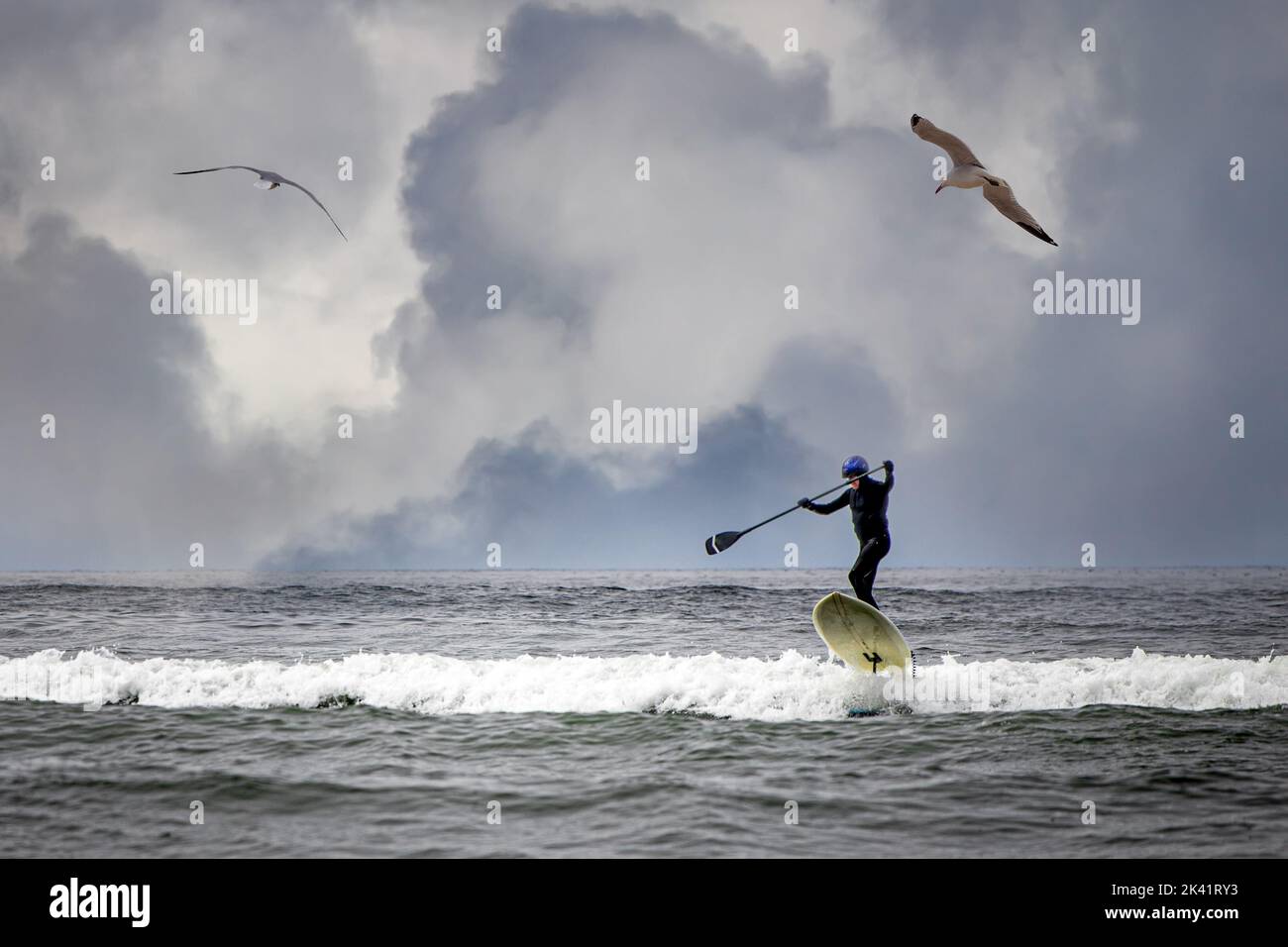 a stand up paddler surfing on an ocean wave Stock Photo - Alamy